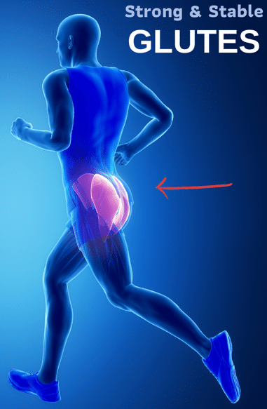What Are Glute Workouts? - KnightFit